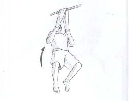 Personal Trainer :: Bhasinsoft :: Weight Training, CrossFit, Yoga, Parkour