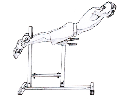 Personal Trainer :: Bhasinsoft :: Weight Training, CrossFit, Yoga, Parkour