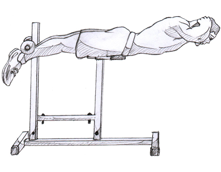 Personal Trainer :: Bhasinsoft :: Weight Training, CrossFit, Yoga, Parkour