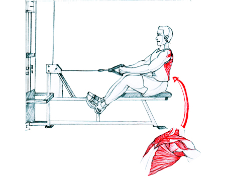 Personal Trainer :: Bhasinsoft :: Weight Training, CrossFit, Yoga, Parkour