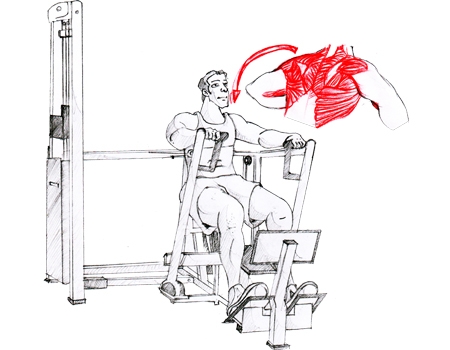 Personal Trainer :: Bhasinsoft :: Weight Training, CrossFit, Yoga, Parkour