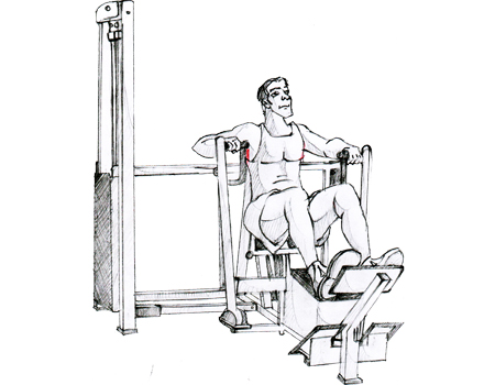 Personal Trainer :: Bhasinsoft :: Weight Training, CrossFit, Yoga, Parkour