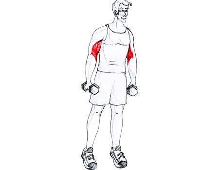 Personal Trainer :: Bhasinsoft :: Weight Training, CrossFit, Yoga, Parkour