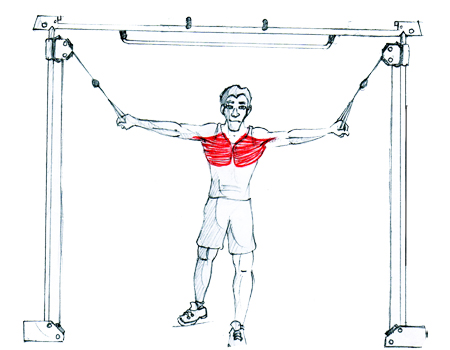 Personal Trainer :: Bhasinsoft :: Weight Training, CrossFit, Yoga, Parkour