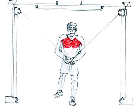 Personal Trainer :: Bhasinsoft :: Weight Training, CrossFit, Yoga, Parkour