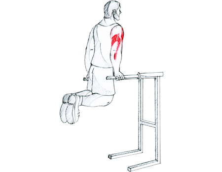 Personal Trainer :: Bhasinsoft :: Weight Training, CrossFit, Yoga, Parkour