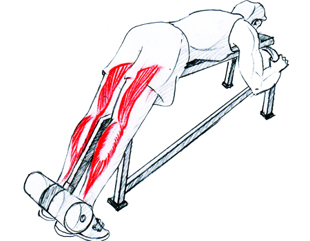 Personal Trainer :: Bhasinsoft :: Weight Training, CrossFit, Yoga, Parkour