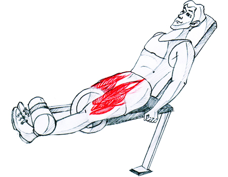 Personal Trainer :: Bhasinsoft :: Weight Training, CrossFit, Yoga, Parkour