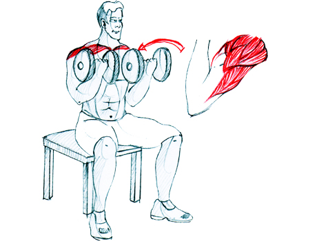 Personal Trainer :: Bhasinsoft :: Weight Training, CrossFit, Yoga, Parkour