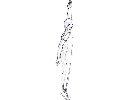 Personal Trainer :: Bhasinsoft :: Weight Training, CrossFit, Yoga, Parkour