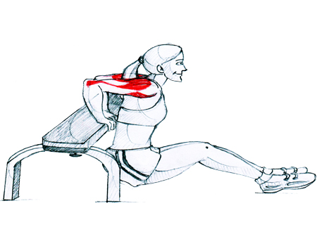 Personal Trainer :: Bhasinsoft :: Weight Training, CrossFit, Yoga, Parkour