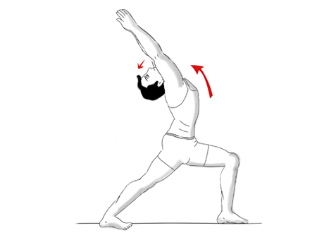 Personal Trainer :: Bhasinsoft :: Weight Training, CrossFit, Yoga, Parkour