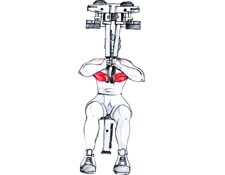 Personal Trainer : Weight Training : Bhasinsoft