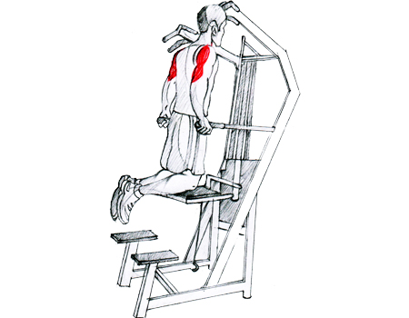 Personal Trainer : Weight Training : Bhasinsoft