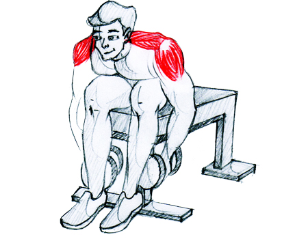 Personal Trainer : Weight Training : Bhasinsoft