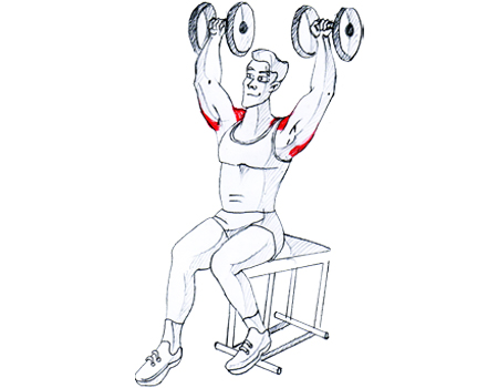 Personal Trainer : Weight Training : Bhasinsoft