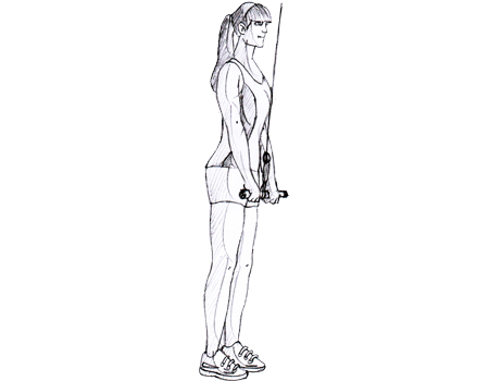 Personal Trainer : Weight Training : Bhasinsoft